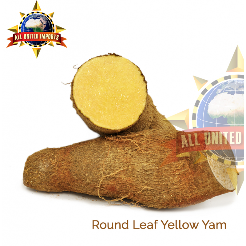 ROUND LEAF YELLOW YAM